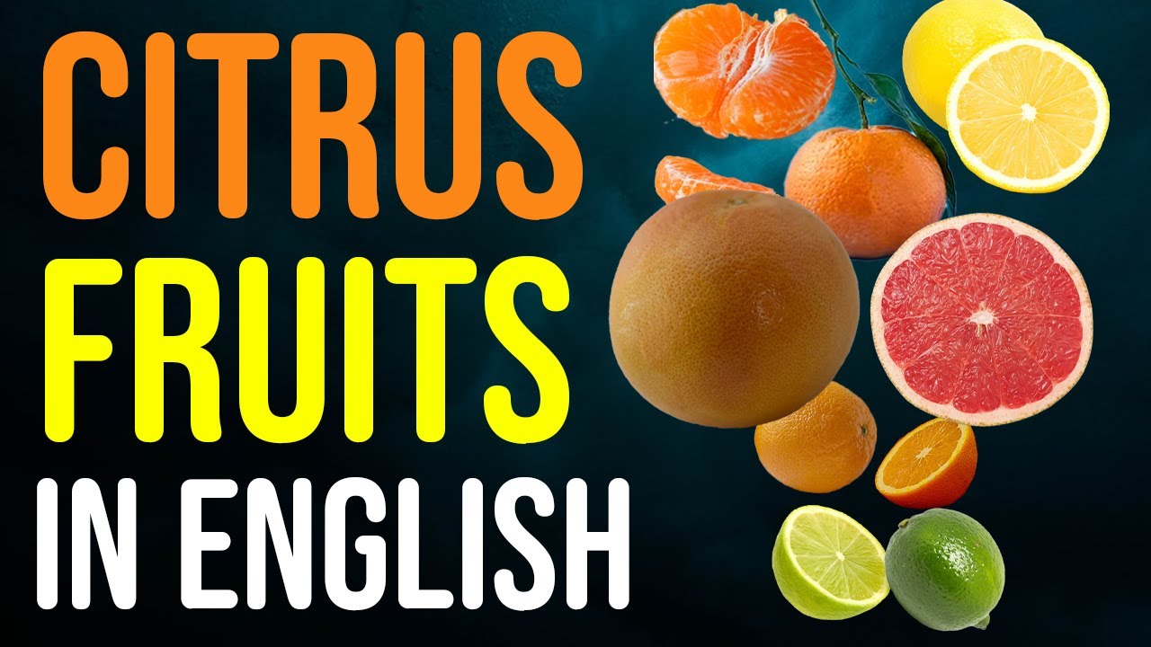Citrus Fruits In English With Pictures - YouTube