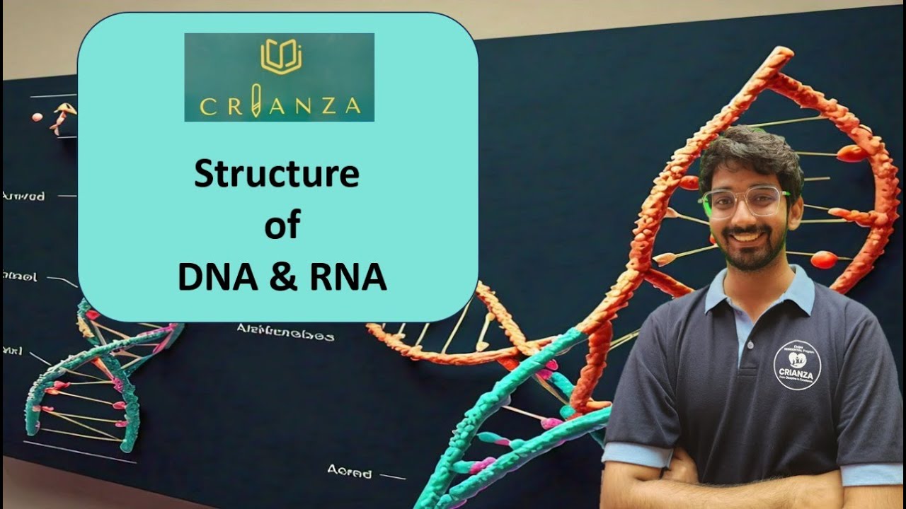 Understanding the Structure of DNA and RNA | Biology Basics for NEET ...