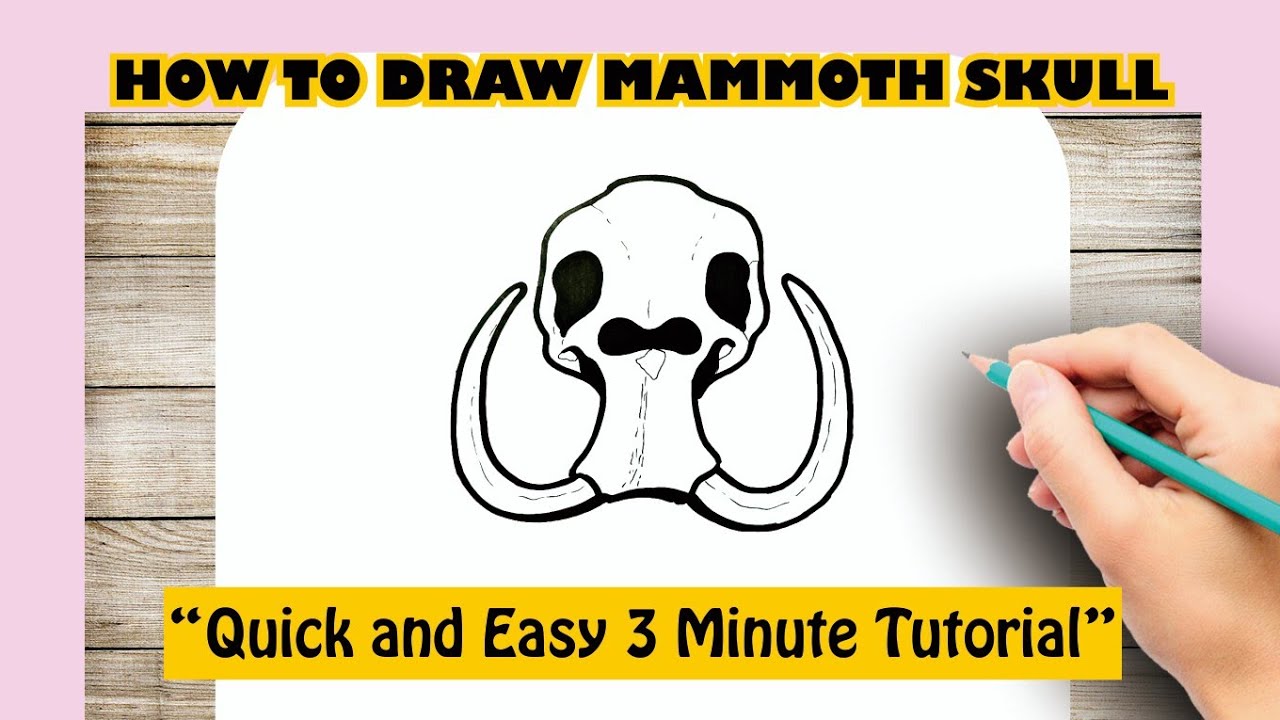 How to draw MAMMOTH SKULL - YouTube