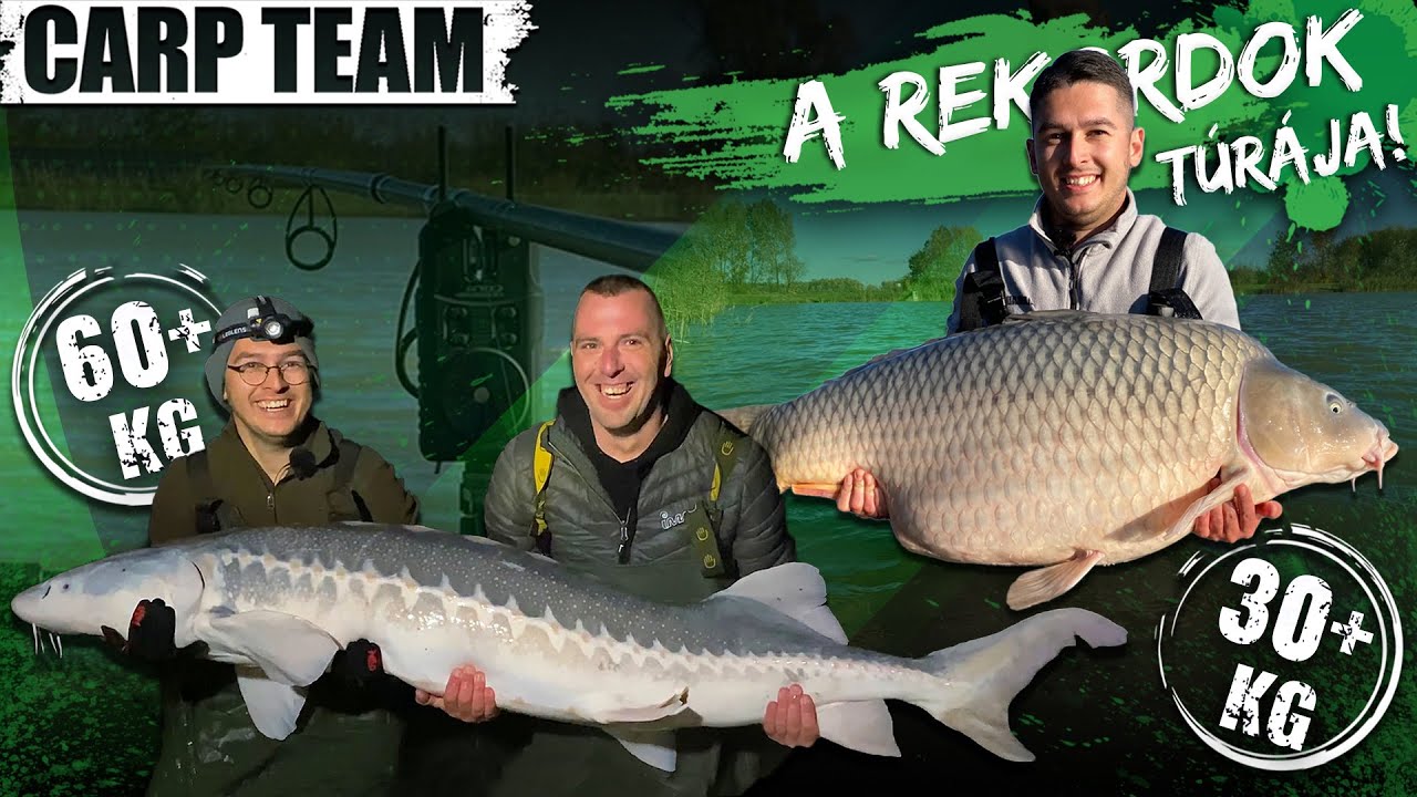 Haskó Tamás és Burszki Zoárd - Egy túrán: ponty 30+ kg, tokhal 60+ kg ...