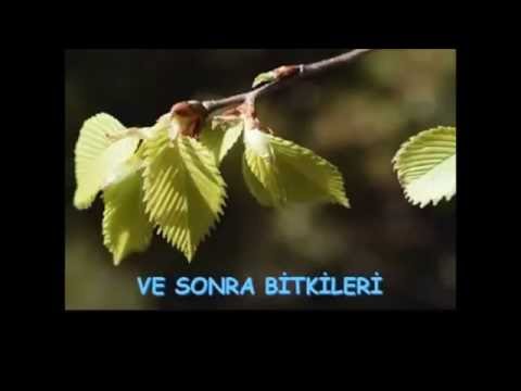 Tanrı Önce Erkeği Yarattı ve Sonra ....!