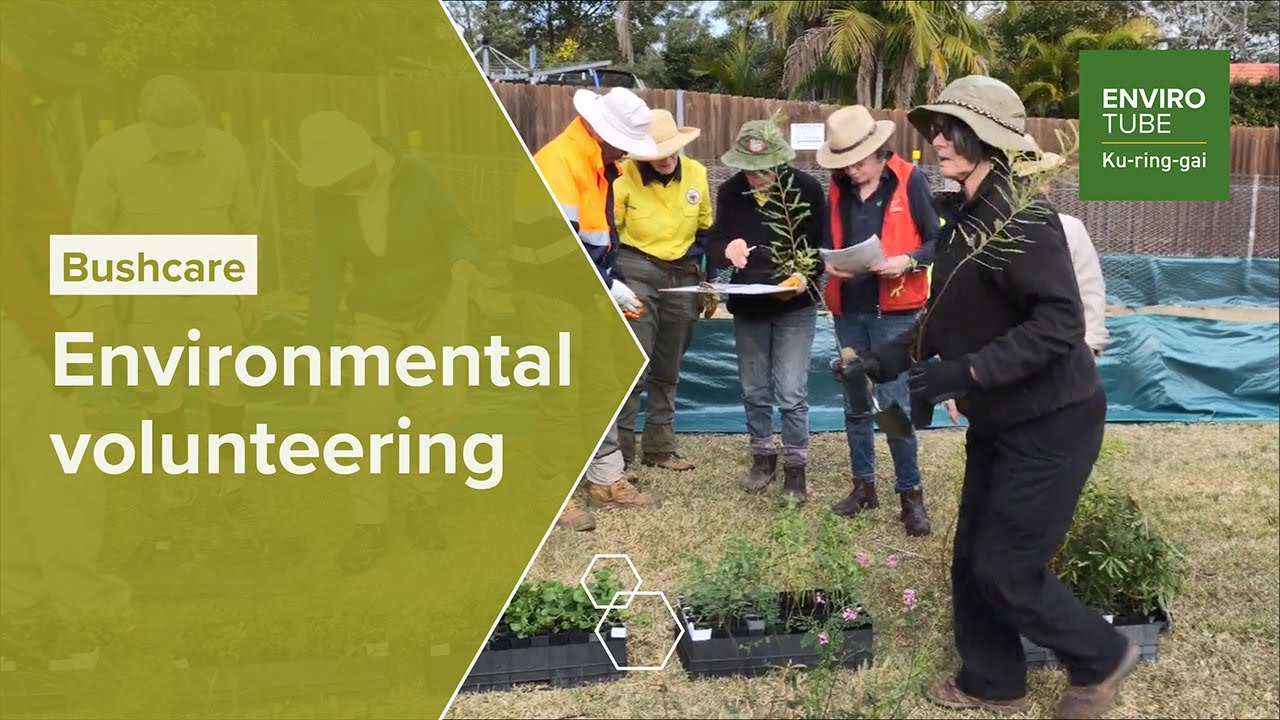Bushcare environmental volunteering - YouTube
