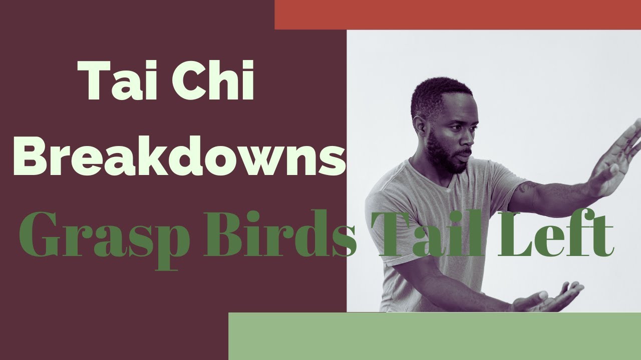 Grasp Birds Tail Left – Tai Chi 24 Essential Movement Breakdown - YouTube