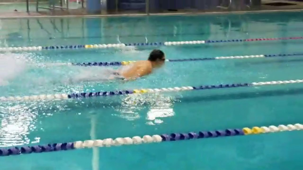 Swimming fly 20180416 - YouTube