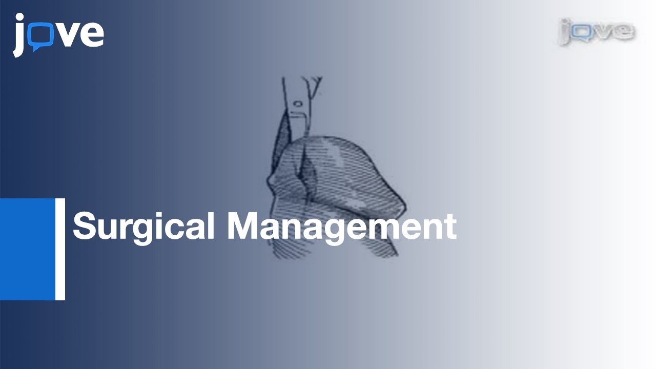 CPT Code for Meatoplasty: The Ultimate 2024 Coder's Guide ...