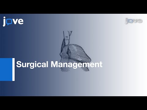 Surgical Management: Meatal Stenosis With Meatoplasty l Protocol ...