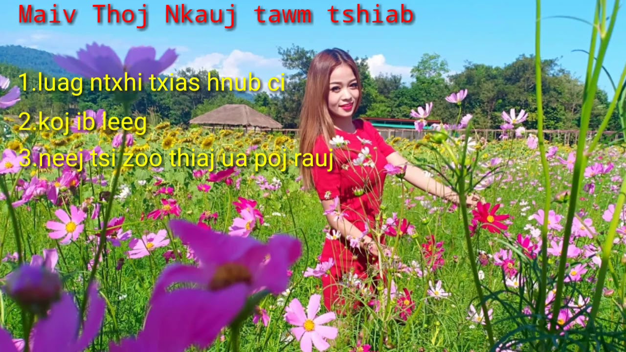 Maiv thoj top 3 Nkauj tawm tshiab - YouTube