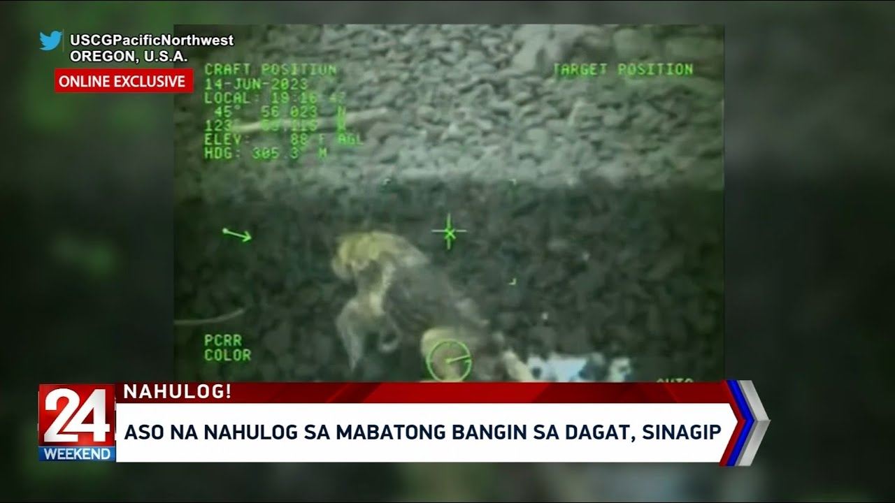 Aso na nahulog sa mabatong bangin sa dagat, sinagip | 24 Oras Weekend ...