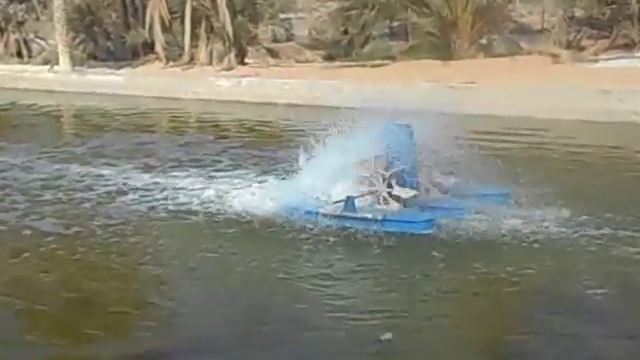 HOW TO START FISH FARMING IN DESERT . - YouTube