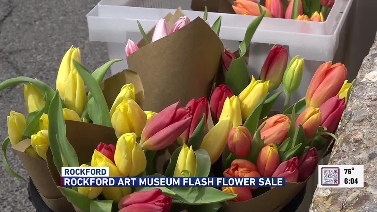 Rockford Art Museum holds Flower Flash event for art, fashion ...