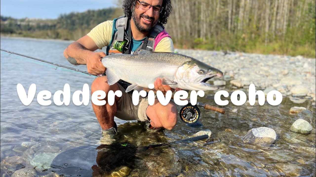 Vedder river fly fishing for coho - YouTube