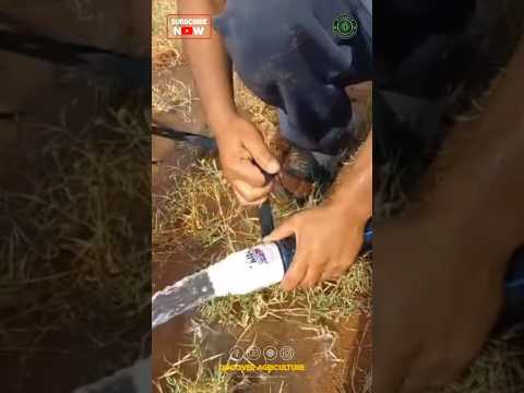 Smart Farmers Simple and Effective DIY idea😱