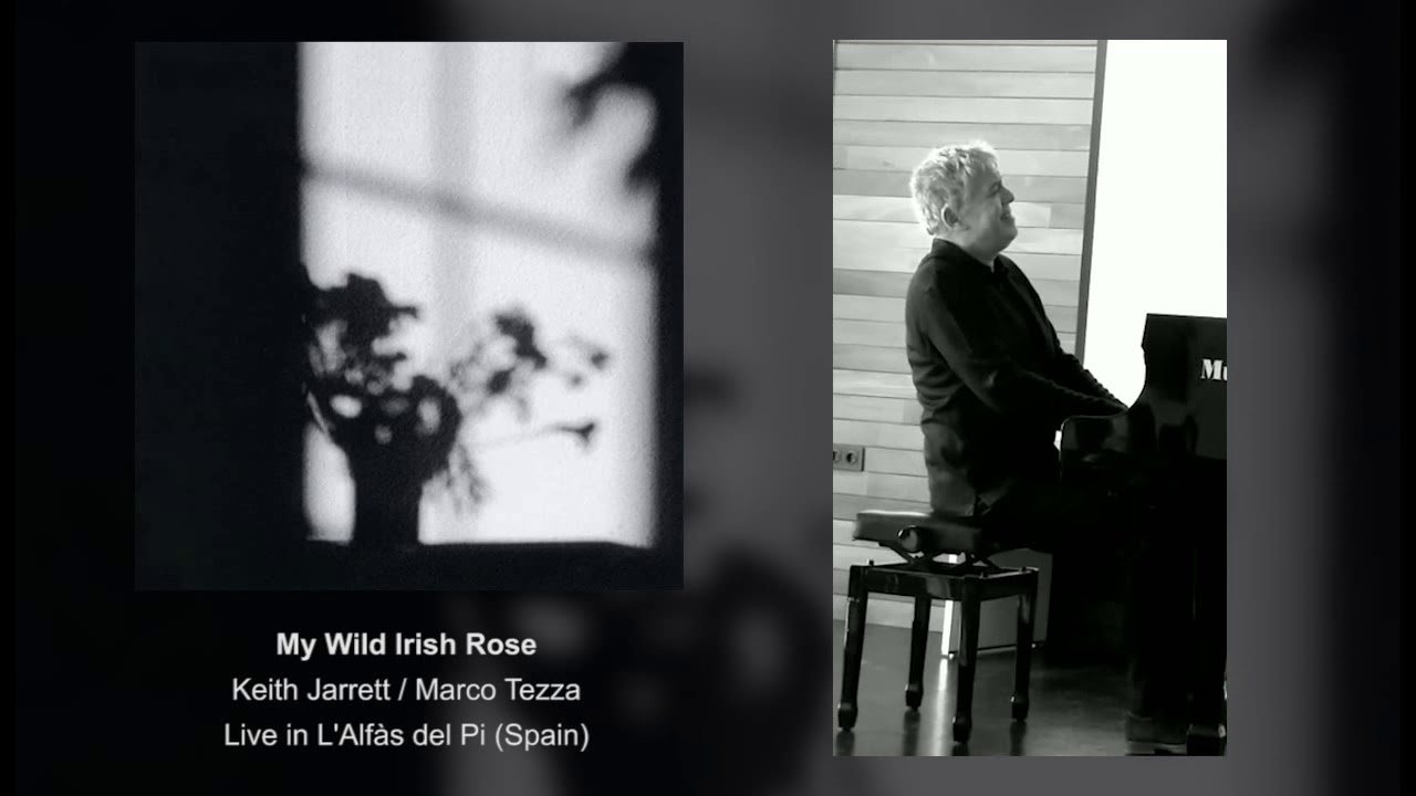 Marco Tezza plays My Wild Irish Rose - (piano version by K. Jarrett - M. Tezza) - LIVE - YouTube