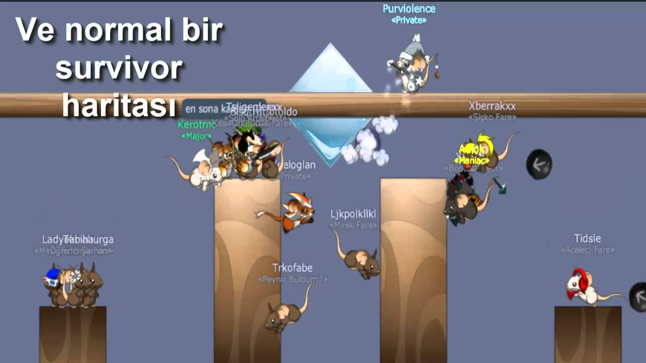 Türkler ile Transformice ( Survivor ) - YouTube