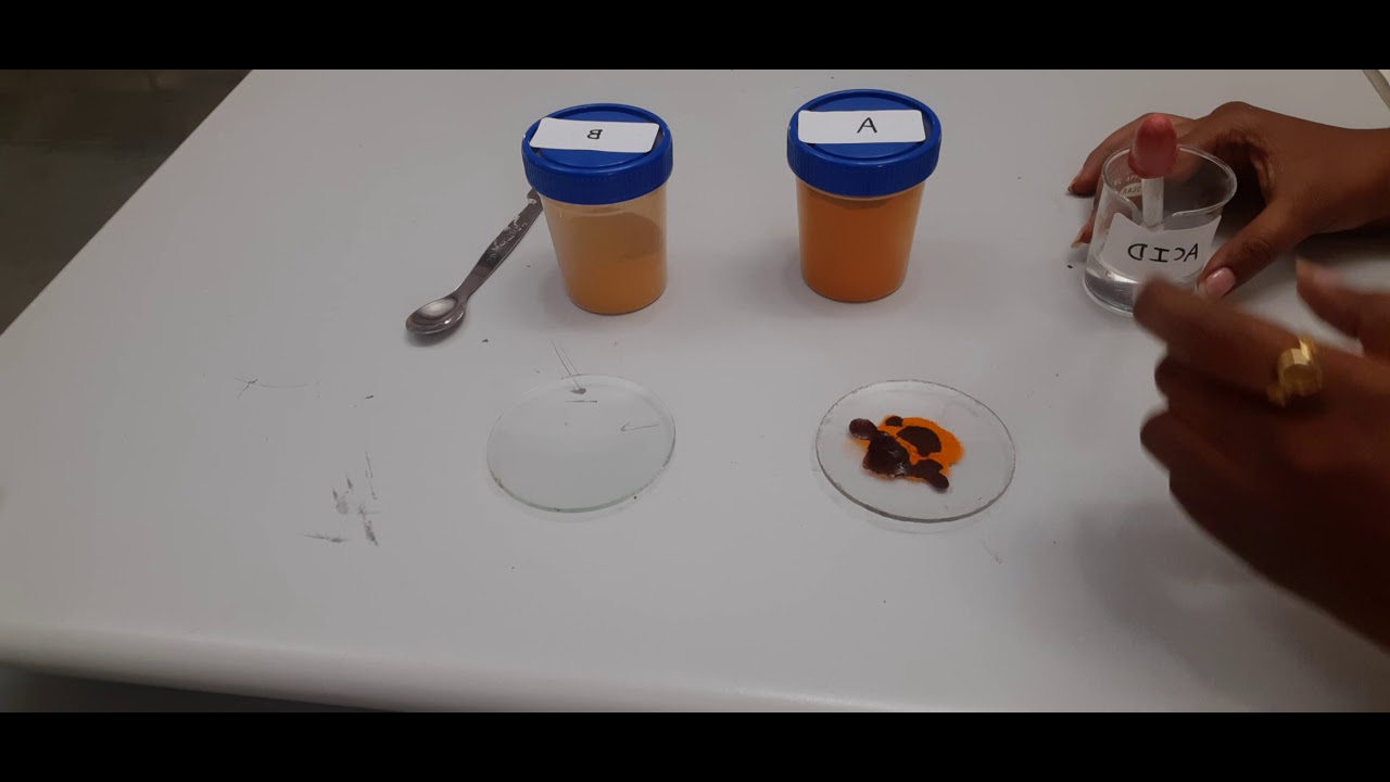 Test for checking adulteration in turmeric using acid. (Dr. Homi Bhabha ...
