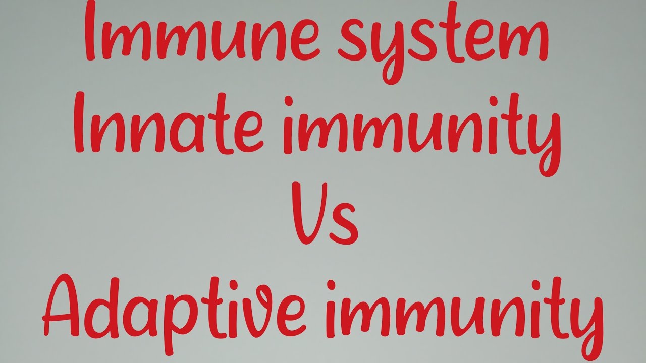 Immune system |Innate and Adaptive immunity explained |Immune system ...