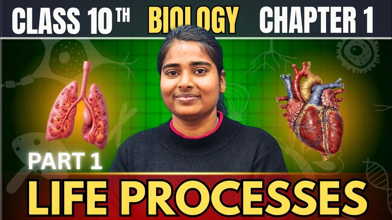 Life Processes Class 10 Science Biology | Life Processes Class 10 ...