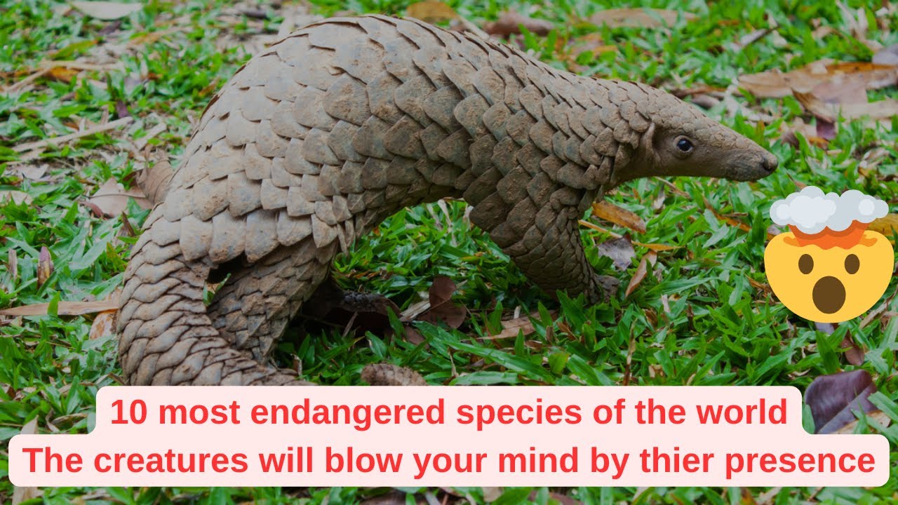 10 Mythical Creatures That Actually Exist - #7 Will Blow Your Mind ...