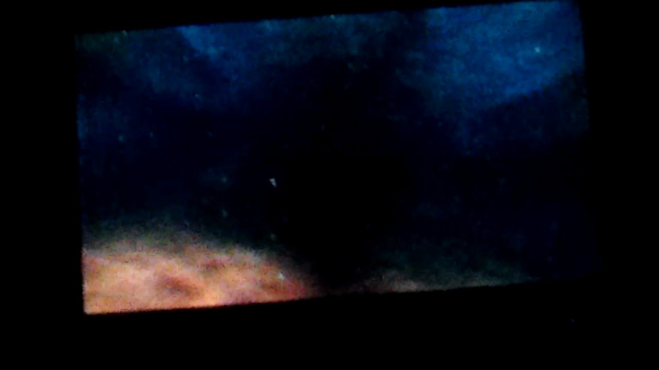 FINDING NEMO WHALS ROAR - YouTube