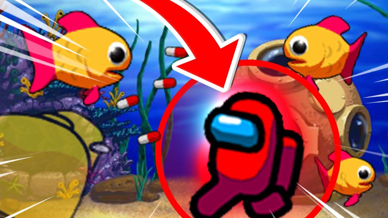 SUSSY AQUARIUM!!!😳 - YouTube