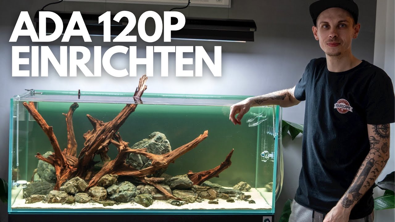 ADA 120P Aquarium einrichten! NATURE STYLE Aquascape - YouTube