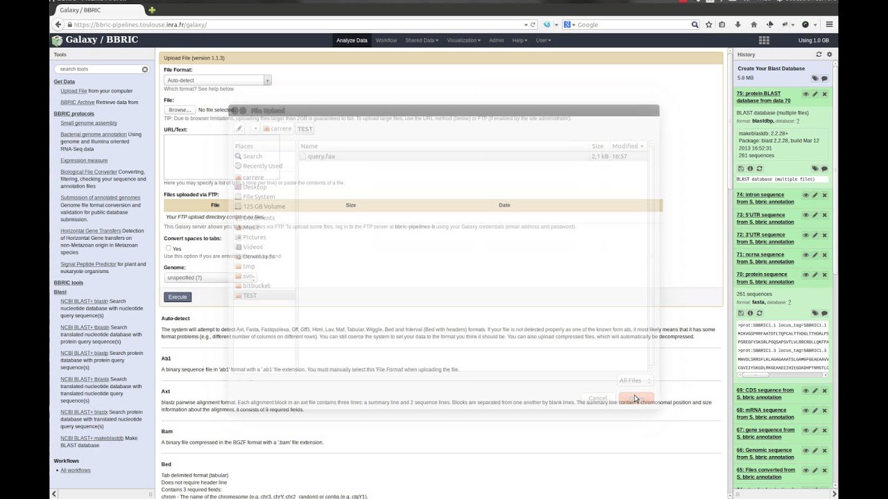 Galaxy - Build a Blast DB from an annotation file - YouTube