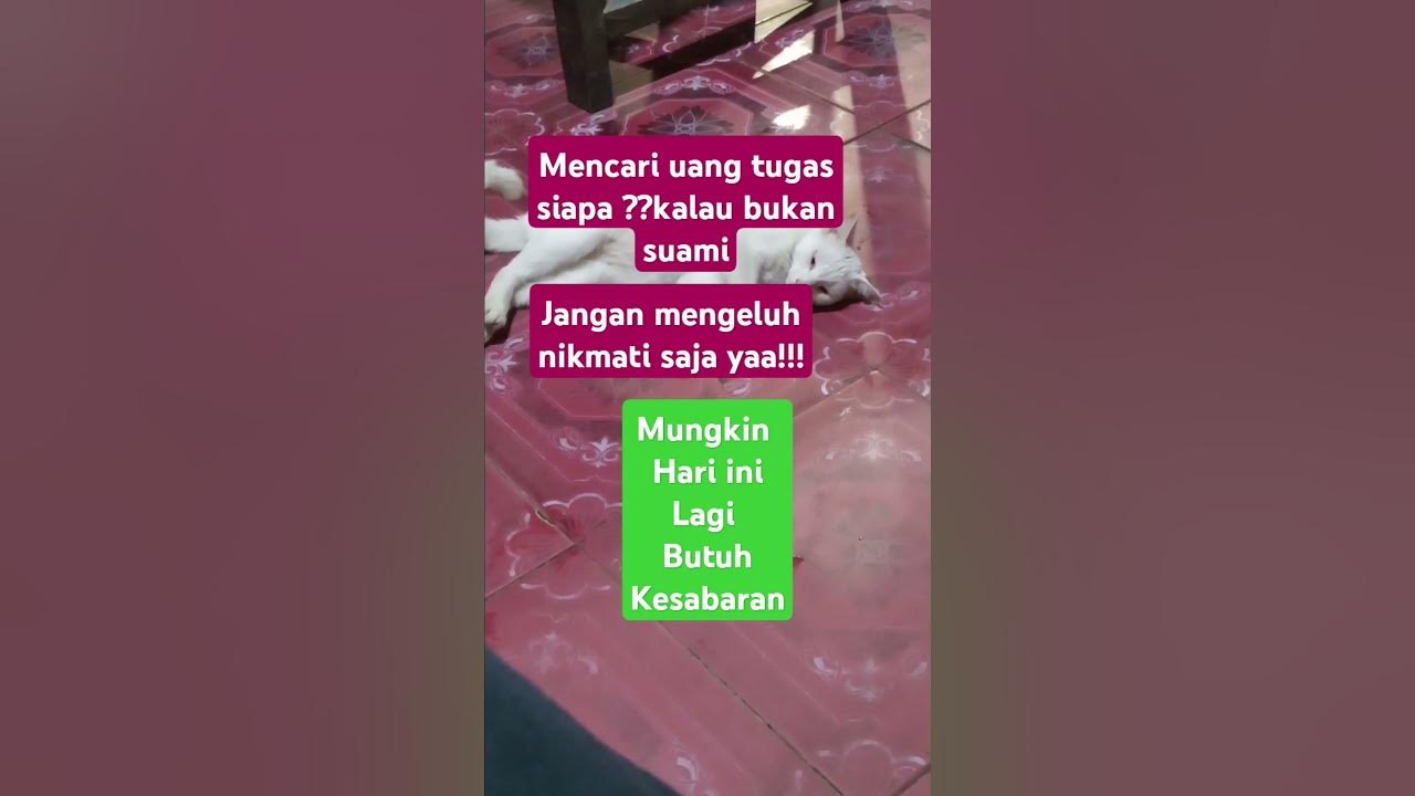 Pejuang rupiah tetep semangat - YouTube