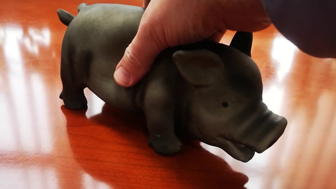 Świnka (tucznik) plus - najlepszą inwestycją w przyszłość! - YouTube