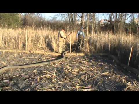 Manual Clearing of Clogged Lines During Placement - YouTube