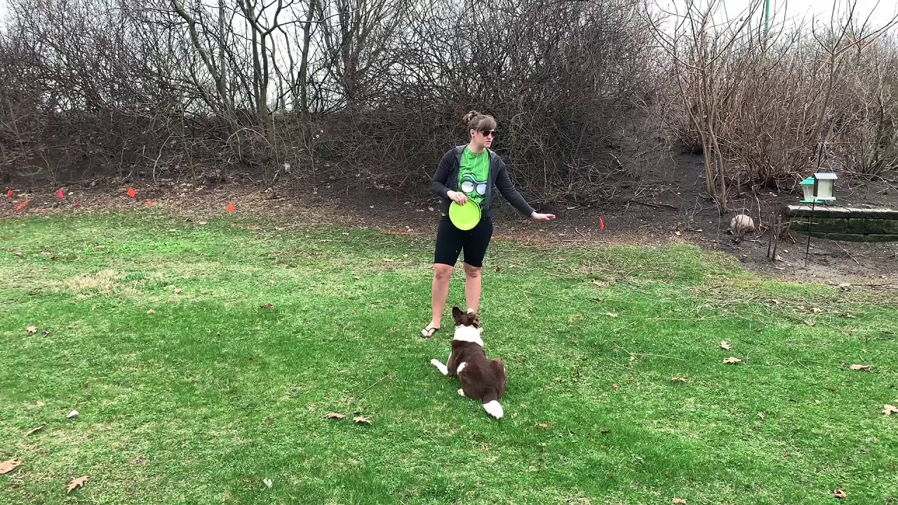 How to leg vault - YouTube