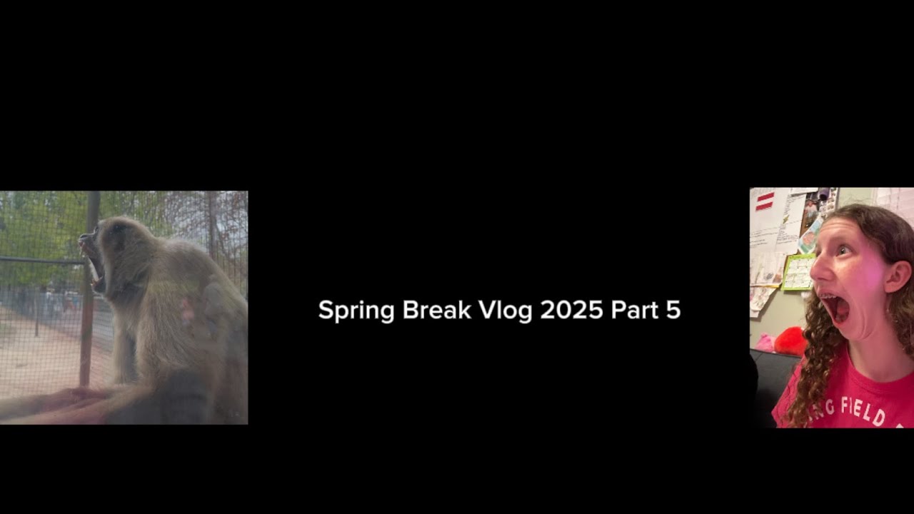 Spring Break Vlog 2025 Part 5 - YouTube