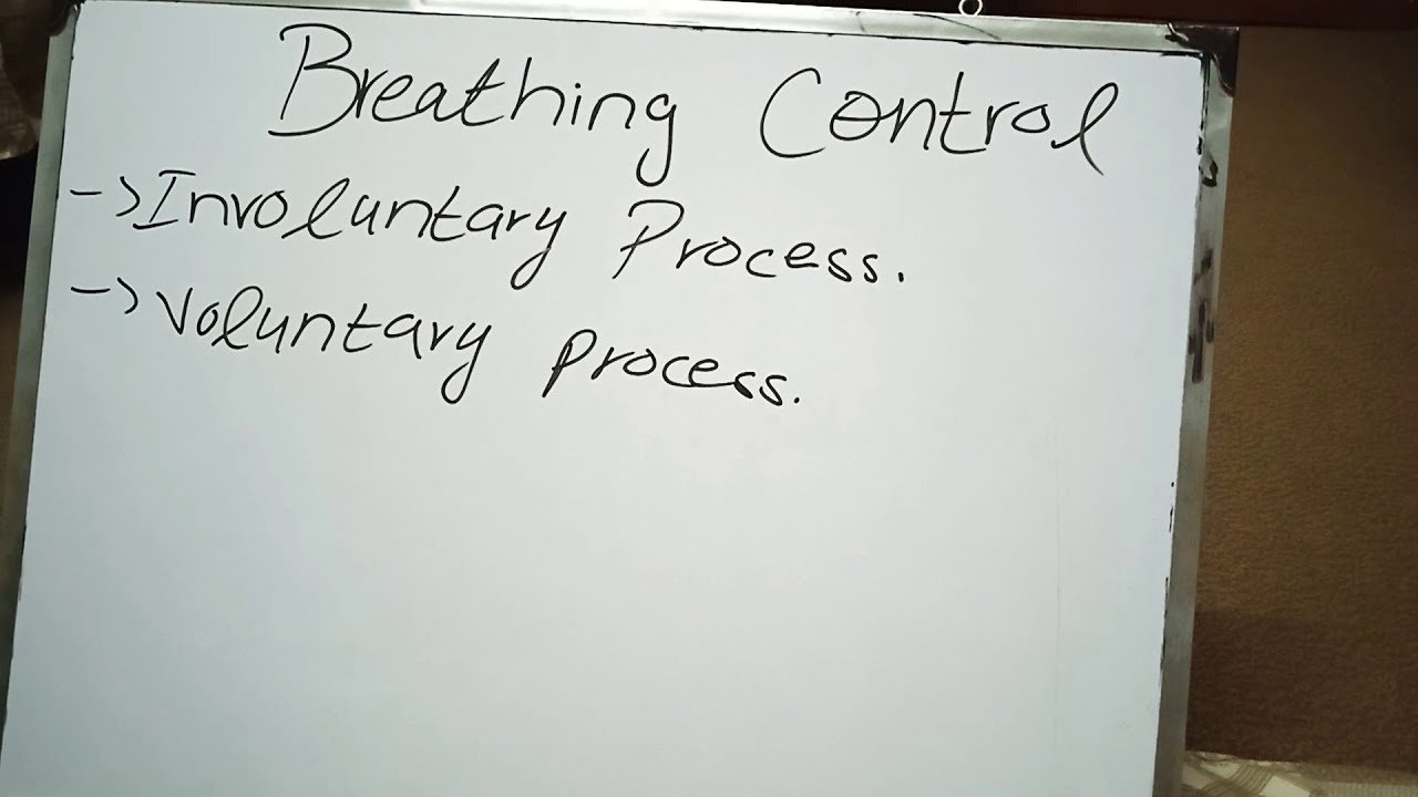 Breathing control | Involuntary & Voluntary process | Informative ...