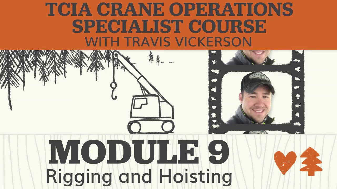 How to Rig and Hoist Tree Limbs with a Crane - TreeStuff - YouTube
