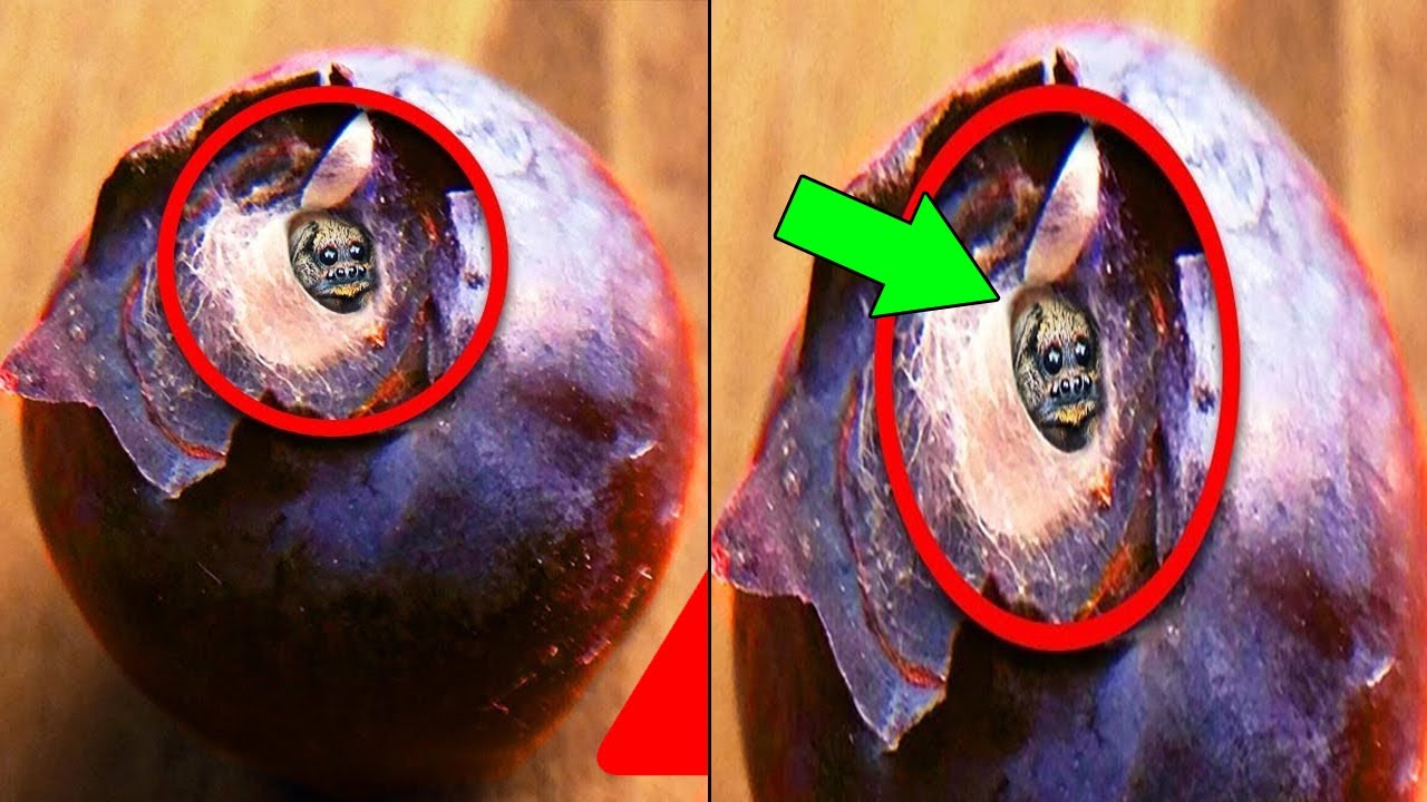 Woman Finds Something In Her Blueberry – Gets Sick To Her Stomach When ...