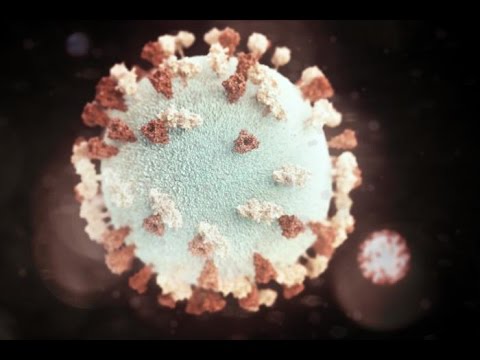 Mumps and Canada: An interview with Jason "The Germ Guy" Tetro - YouTube