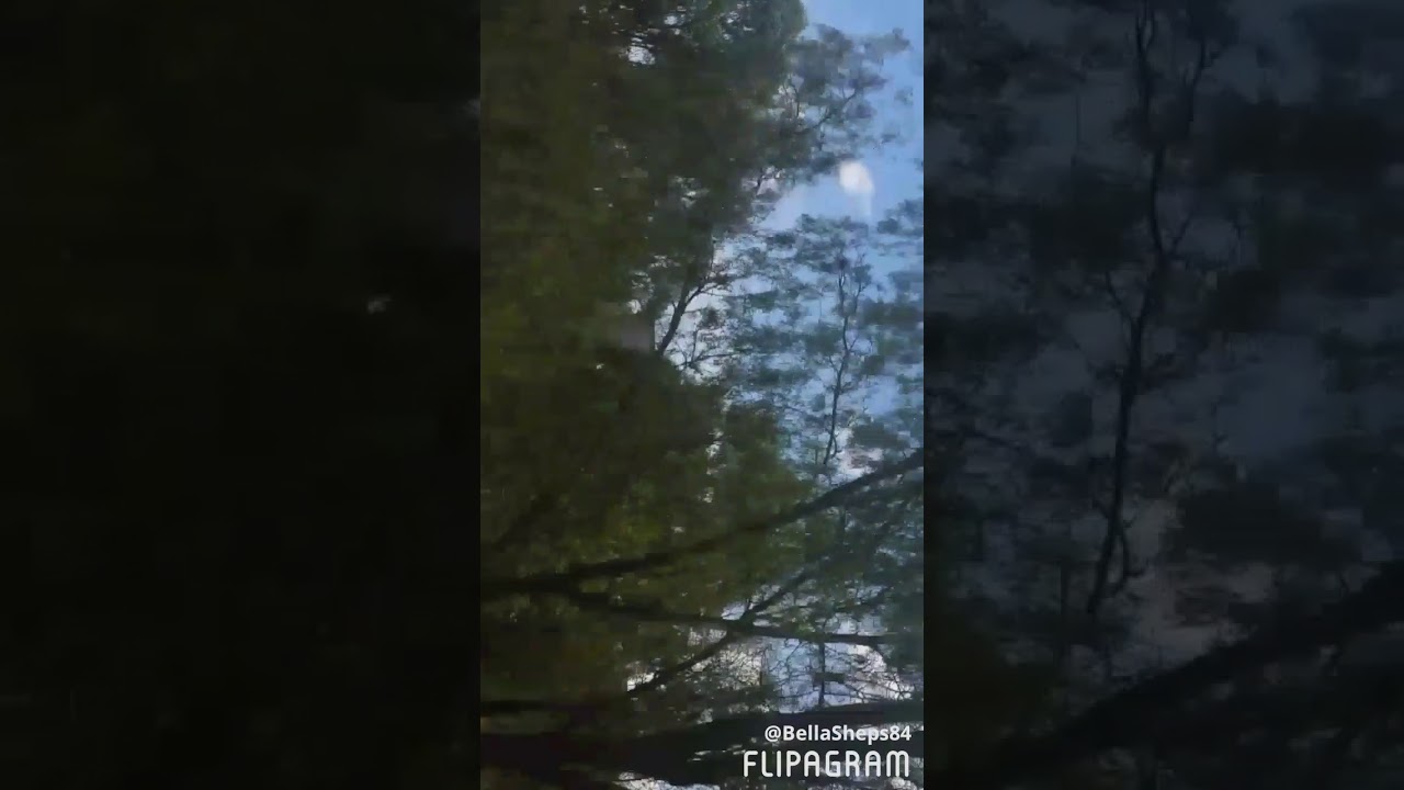 Ravensworth Open Cut Mine & Coal Handling & Preparation Plant - YouTube