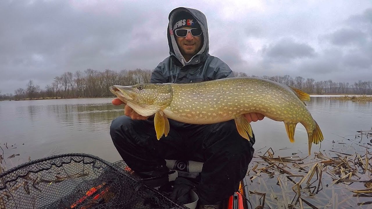 BIG RIVER PIKE, EARLY SPRING FISHING IN THE RAIN - YouTube