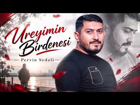 Pervin Sedali - Ureyimin Birdenesi 2026