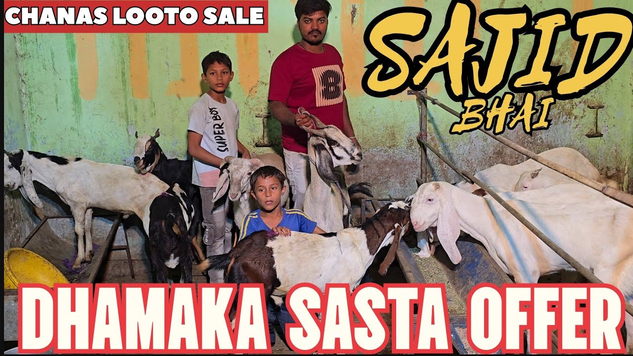 Dhamaka Sasta Offer Sirf Chanas Me Dunga Looto Aur Shouk Karo || Sajid Bhai Bhiwandi Mumbai ...