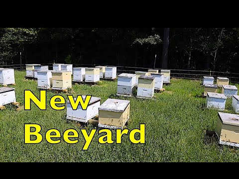 Finding and Building a New Bee Yard - YouTube