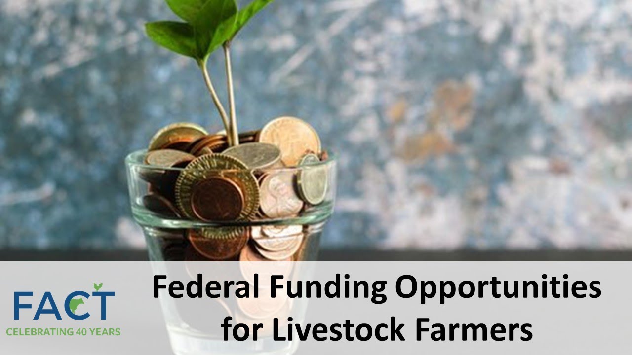 Federal Funding Opportunities for Livestock Farmers - YouTube