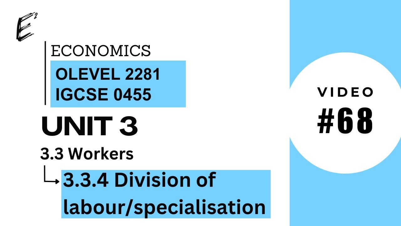 Video 68 - Division of labour / Specialisation (Economics O levels 2281 ...
