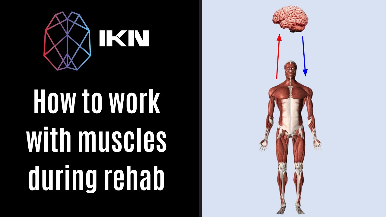 How To Work With Muscles During Rehab - YouTube