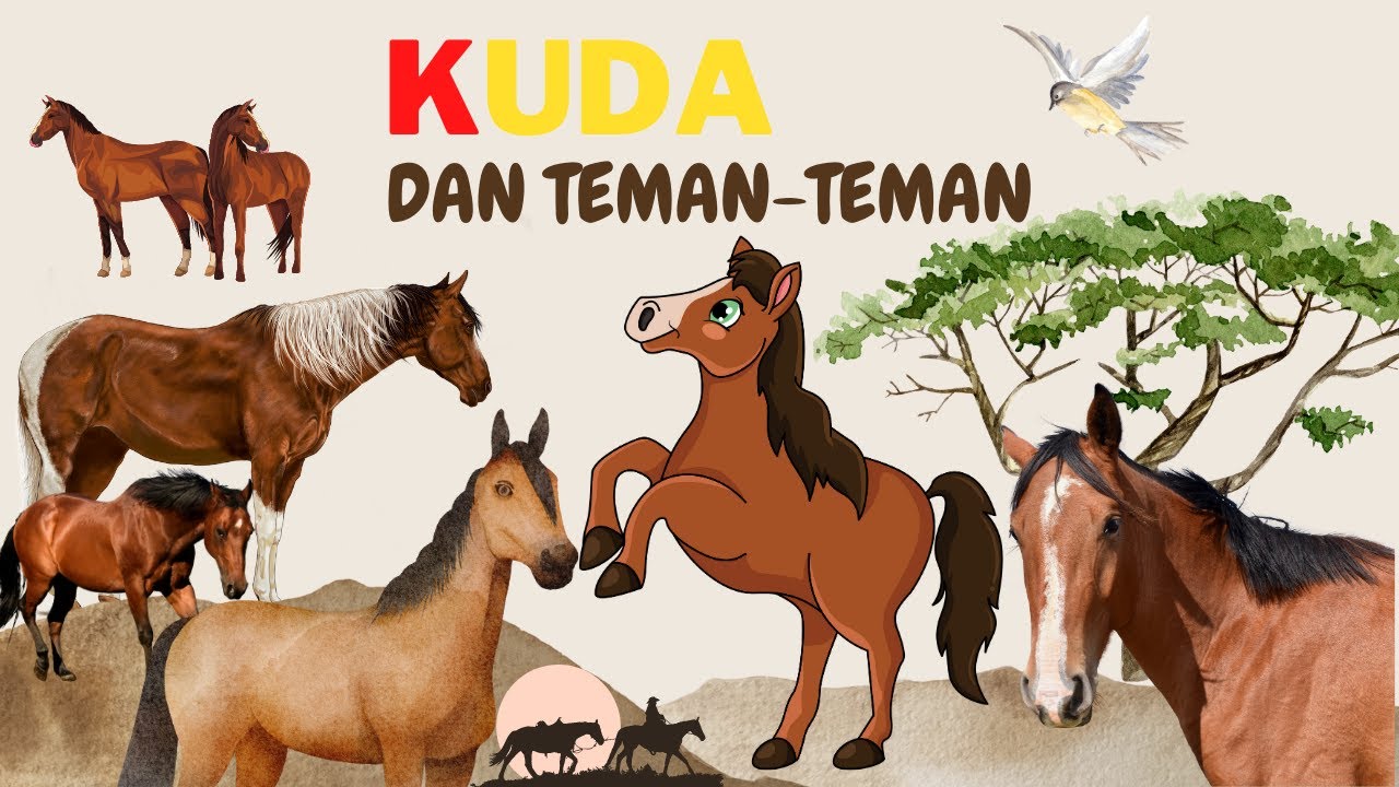 KUDA DAN SUARANYA | KUDA LIAR | DUNIA KUDA | KUDA JINGKRAK | SUARA KUDA ...