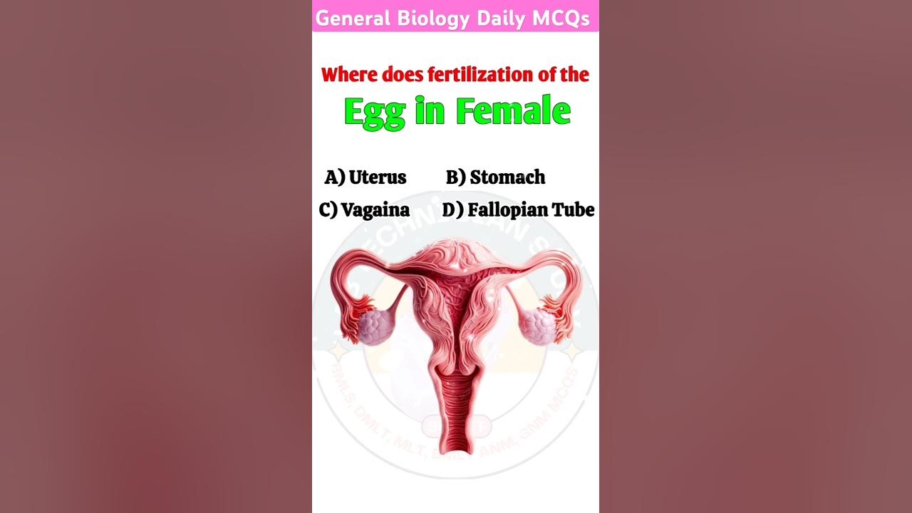 Science Questions And Answers generalknowledge biology physics science-questions-and-answers-generalknowledge-biology-physics