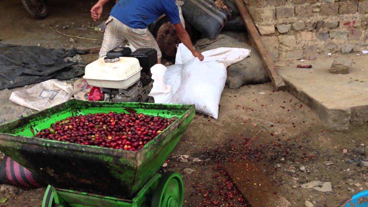 Coffee De-pulping machine, Peru - YouTube