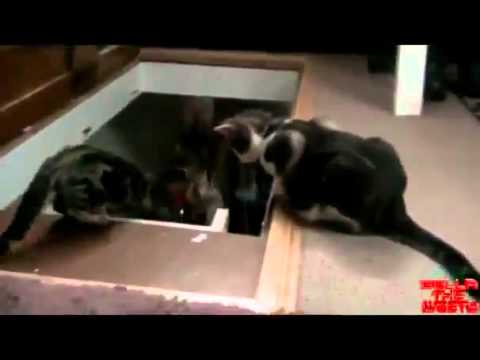 Arkadaşlık Dostluk Kötü Arkadaş İhanet