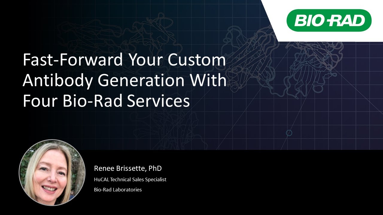 Fast-Forward Your Custom Antibody Generation With Four Bio-Rad Services ...