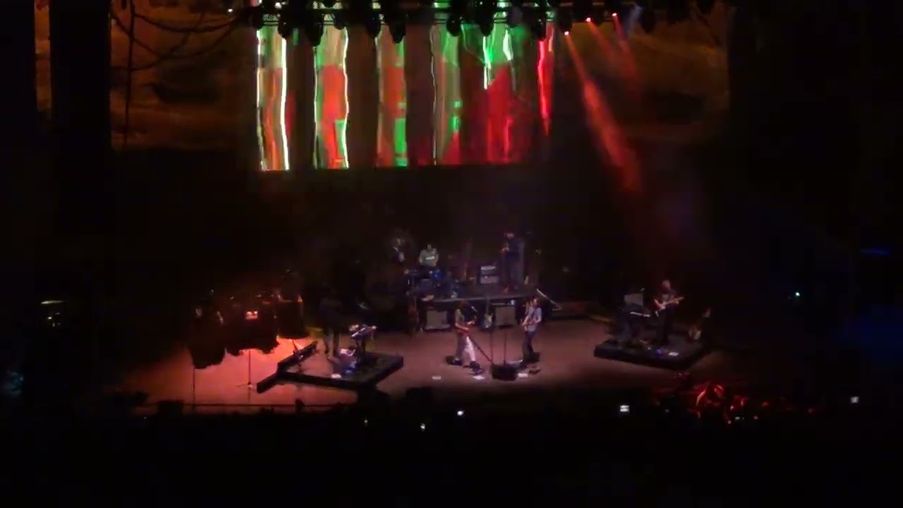 King Gizzard & The Lizard Wizard - Organ Farmer - YouTube