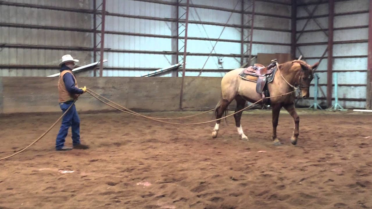 Ground Driving beginning lateral work at Vaquero Training Center - YouTube